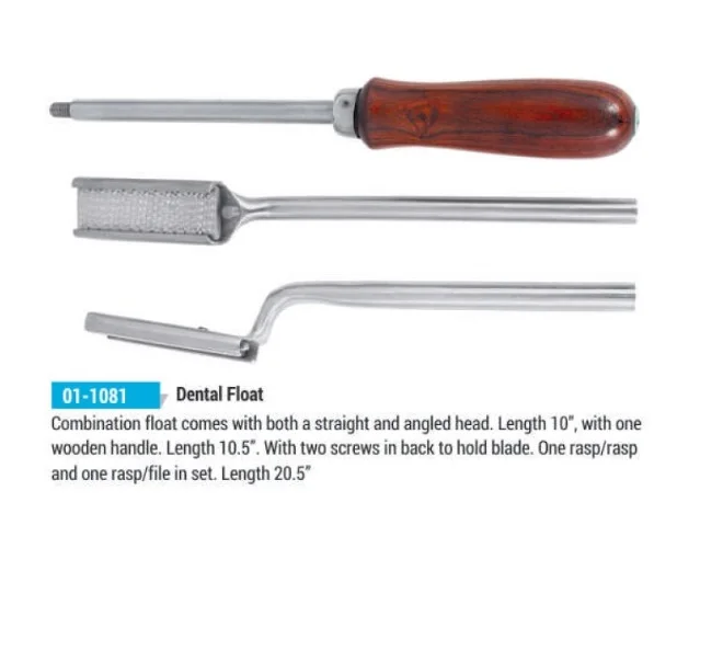 Dental Float Length 20.5" Horse Equine Dental Veterinary Instruments ...
