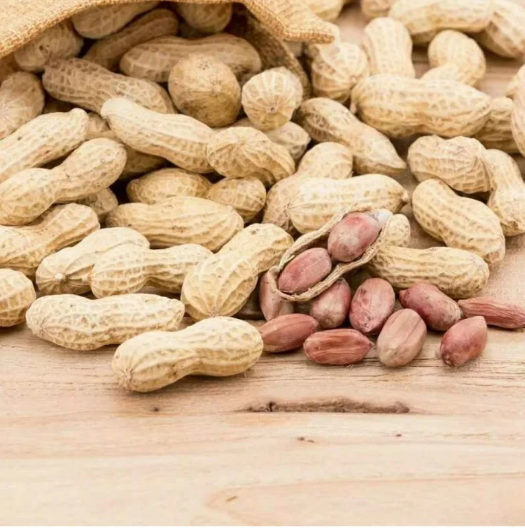 Roasted Peanuts,Salted Peanuts,Coated Peanuts For Sale - Buy Best Quality Custom Made Wholesale ...