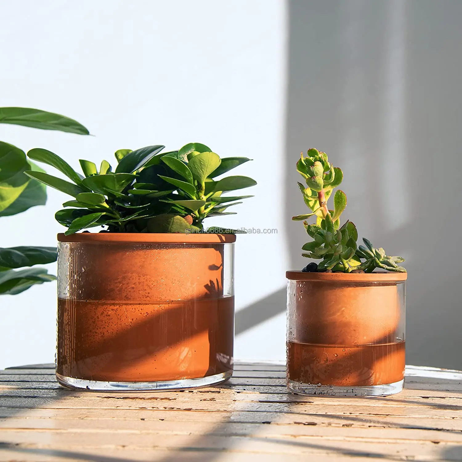 2023 Self Watering Plants Pots Design - Small Glass Planters