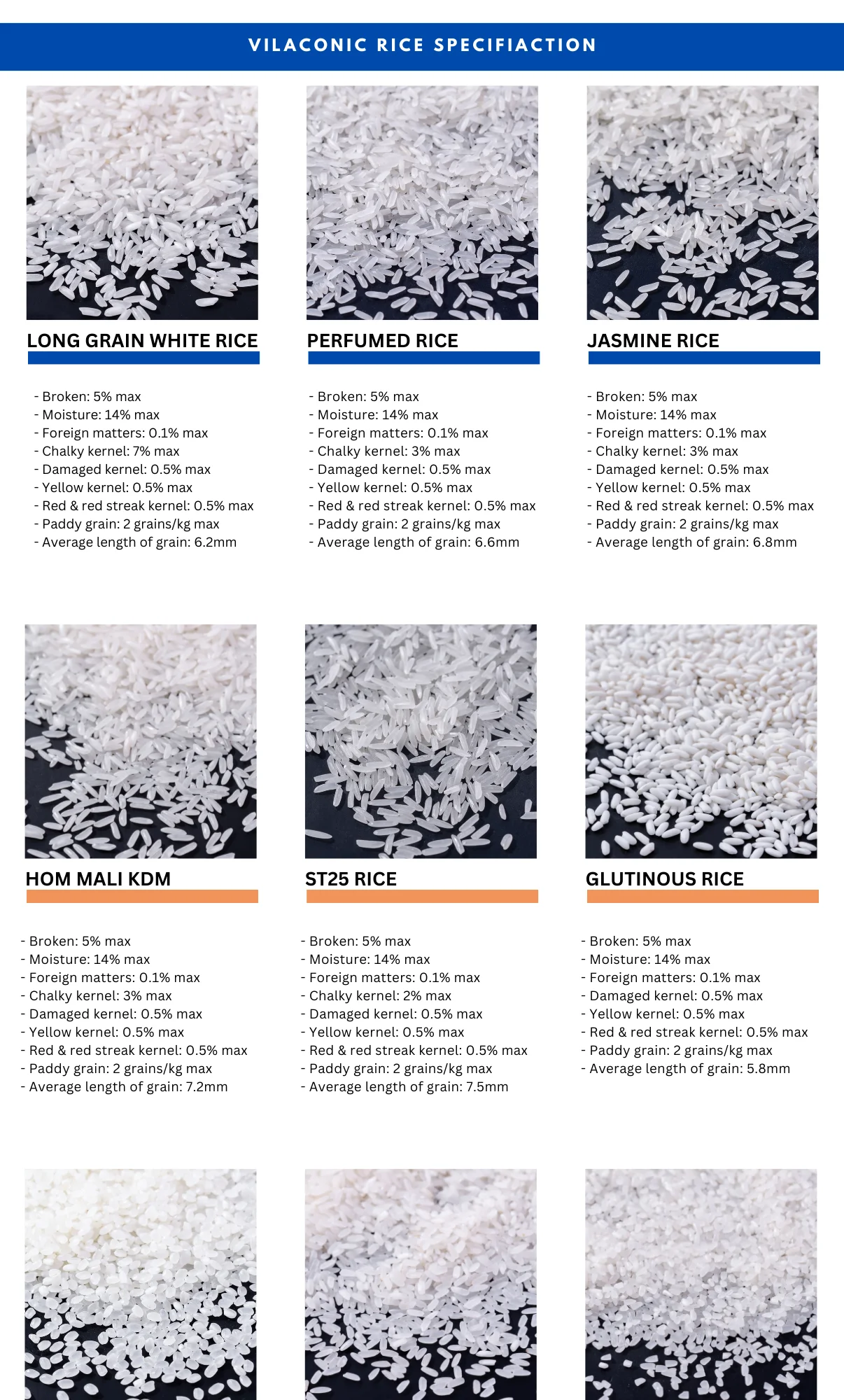 Vietnam Japonica Basmati Rice Broken Riz Customizable Bag New Season ...