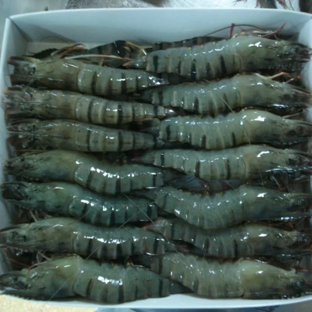 Frozen Fresh Shrimp Seafood Black Tiger Prawn Oem Box Style Packaging ...