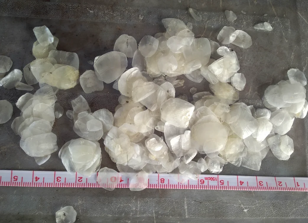 DRY FISH SCALE EXTRACT GELATIN PRODUCTION - NATURAL DRIED TILAPIA BIG ...