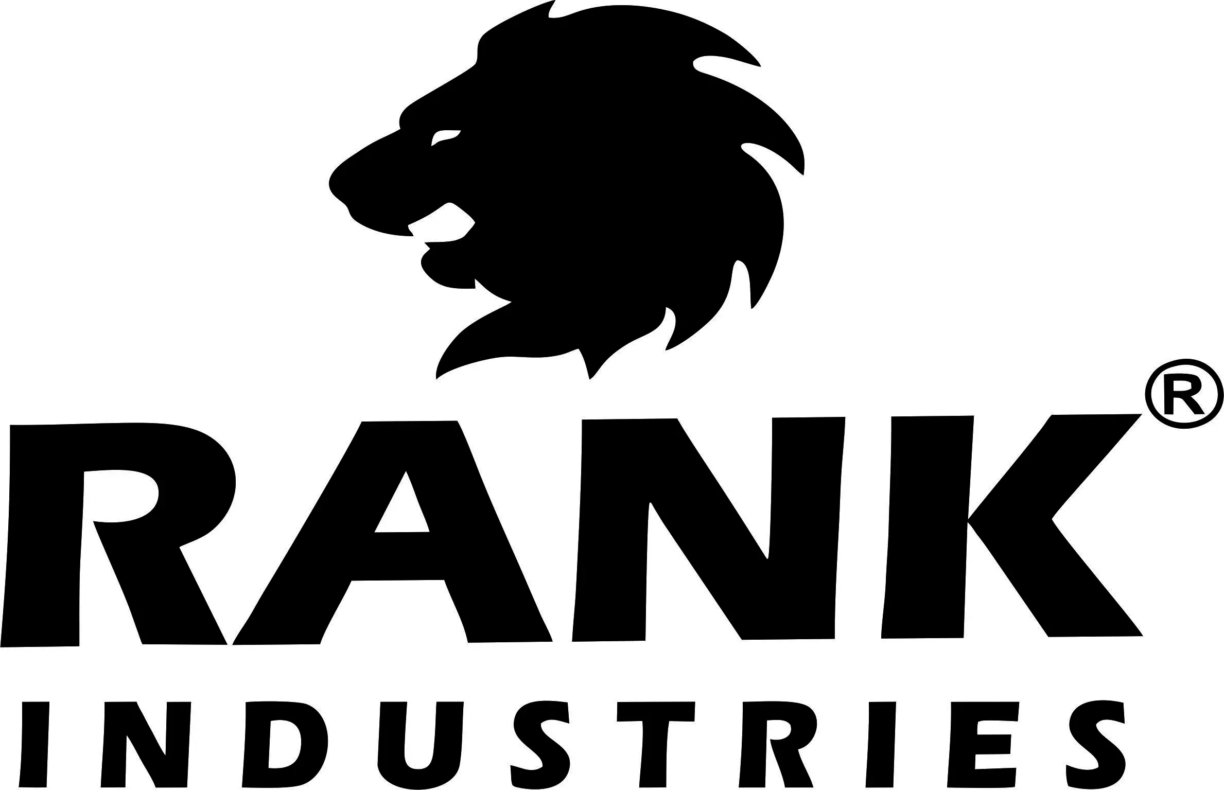 Company Overview - RANK INDUSTRIES