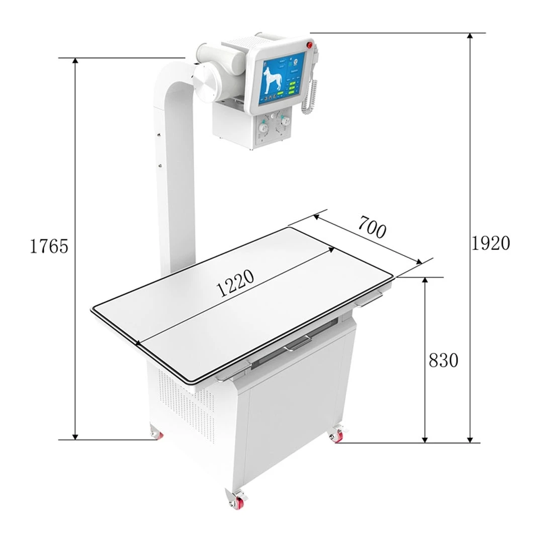 Small Animal Digital Radiography Veterinary Hospital Veterinary X-ray ...