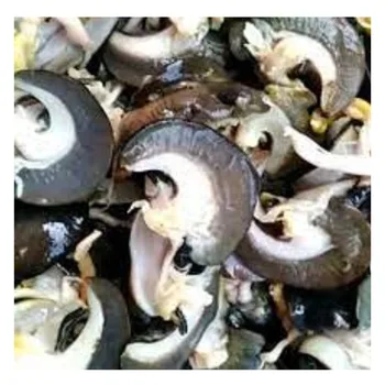 High Quality Fresh Frozen Snail Meat Dried African Land Snails Meat For ...