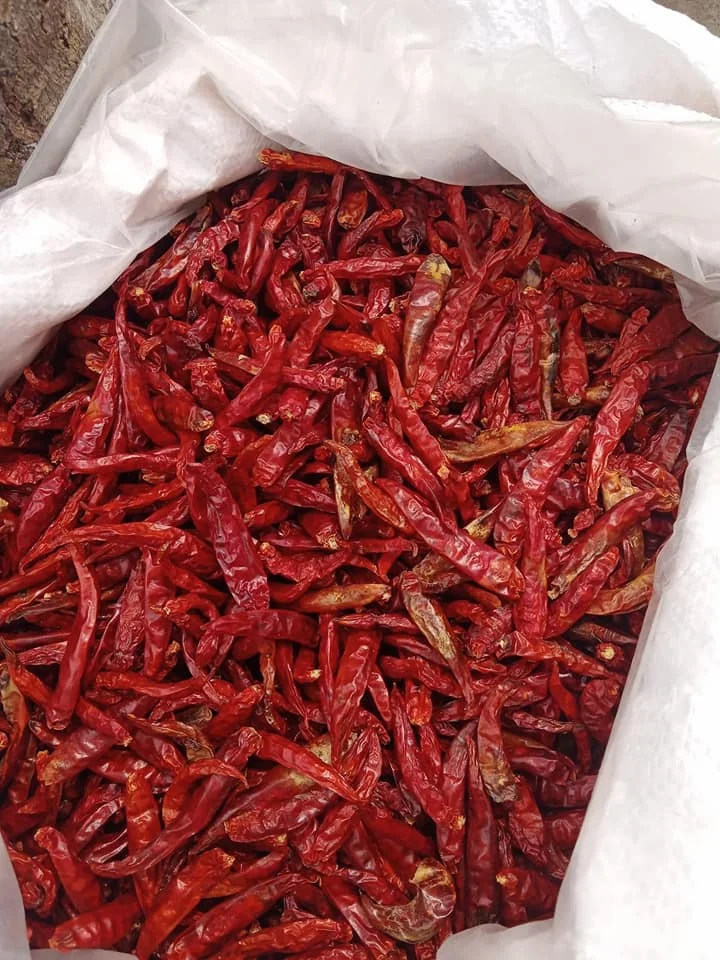 Vietnam Product High Quality Dry Red Chilli Single Spices For Cooking ...