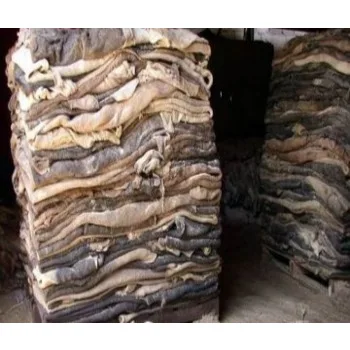 Buy Wholesale Malaysia Raw Wet Salted Cattle Hides | Cow Skins /buffalo ...