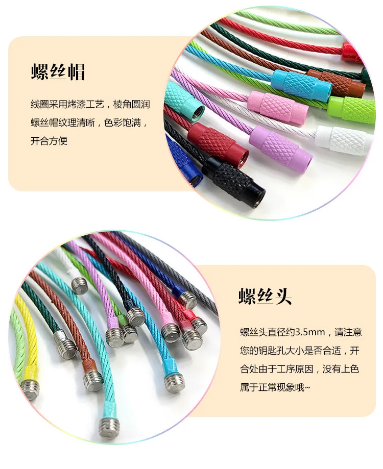 Colorful Screw Locking Stainless Steel Wire Car Keychain Cable Rope Key ...