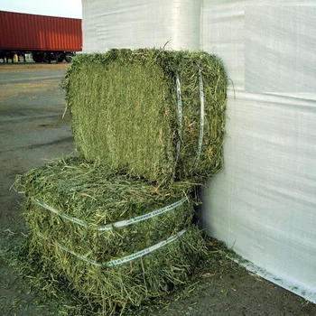 Good And Cheap Alfalfa Hay Bays / Alfafa Pellets / Dehydrated Alfalfa ...