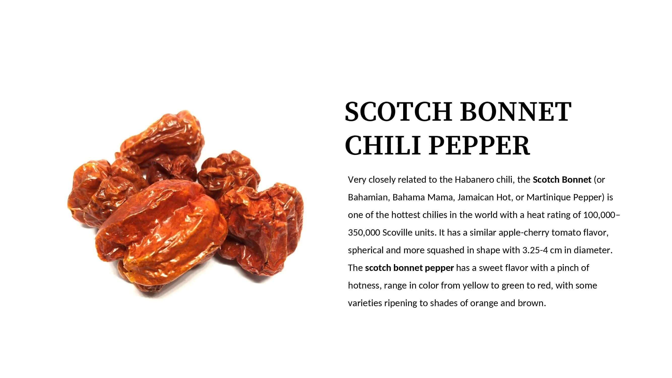 Red Chili Hot Pepper Dried From Fresh Red Chillies From Trusted Buyer ...