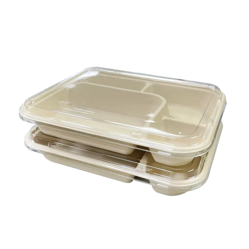 Fiber Food Container 4 Compartments Container Bento Lunch Box / Cj305 ...