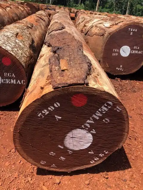 Hot Sale Sapele/ Sapelli Wood Lumber - Sawn Hardwood - Directly From ...