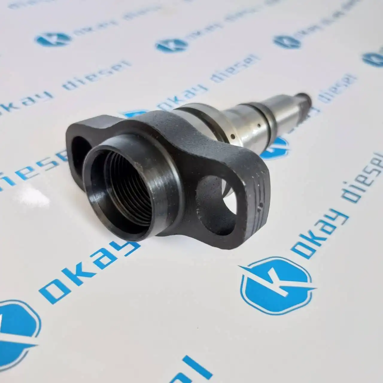 High Quality Fuel Pump Plunger 2418455369 - 2455-369