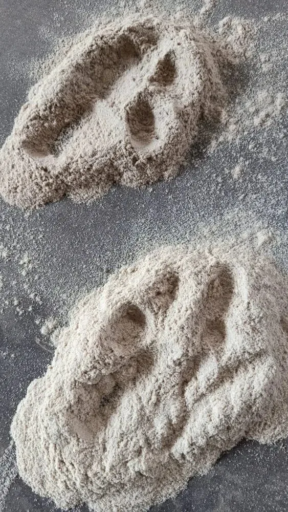 Viet Delta Sugarcane Bagasse Powder for Shisha - 24 Months Shelf Life