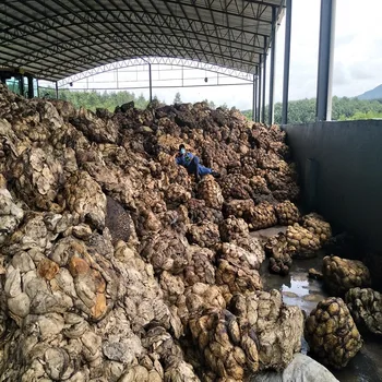 Wholesale Natural Rubber Latex / Rubber Cup Lumps Available For Sale ...