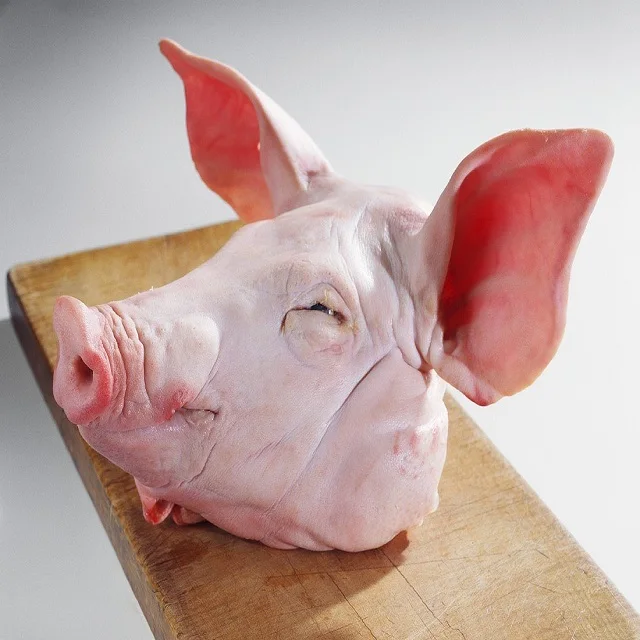 Frozen Pork Heads Fresh Pork Heads Pork Head Supplier Worldwide - Buy ...
