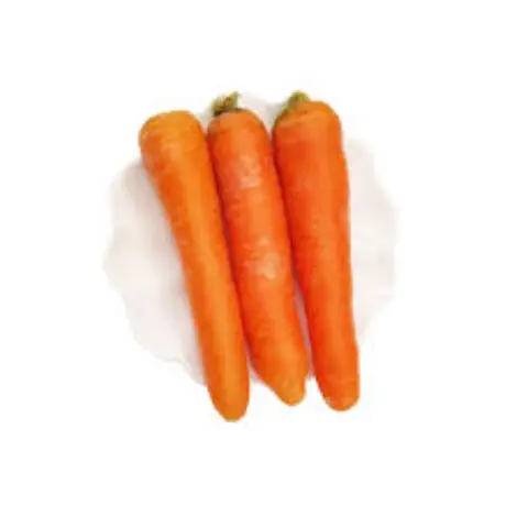 Organic And Sustainable Fresh Vegetable Carrots In Bulk - Buy ...