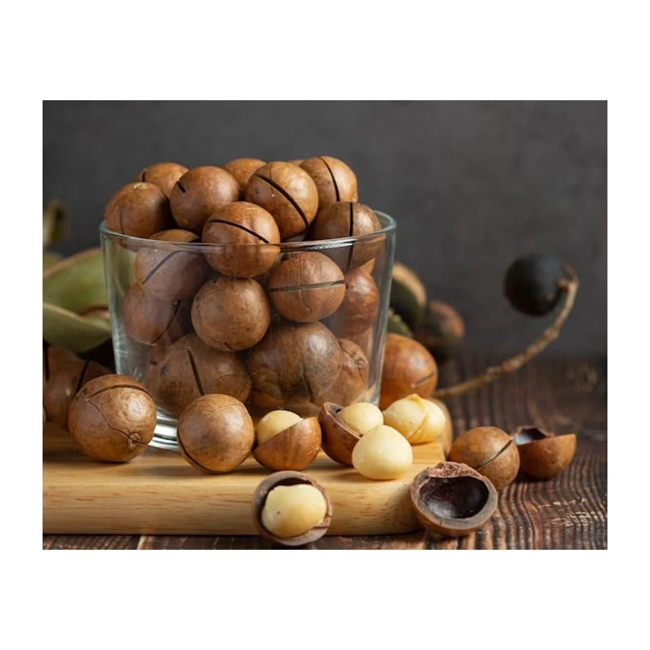 Wholesales Roasted Macca Macadamia Nuts & Kernels Food Grade Best ...