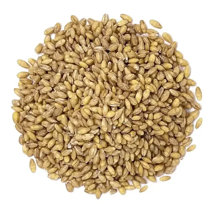 Barley Malt /barley Grain /barley Feed Premium Grade Energetic Barley ...