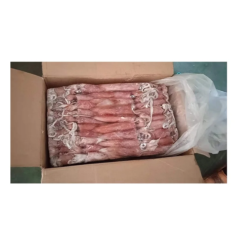 100% Pure Quality Frozen Seafood Whole Loligo Squid At Best Cheap ...