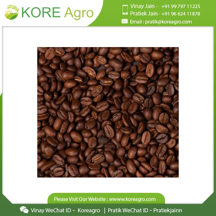 New Crop Robusta Coffee Beans Natural Coffee Beans From Wholesale ...