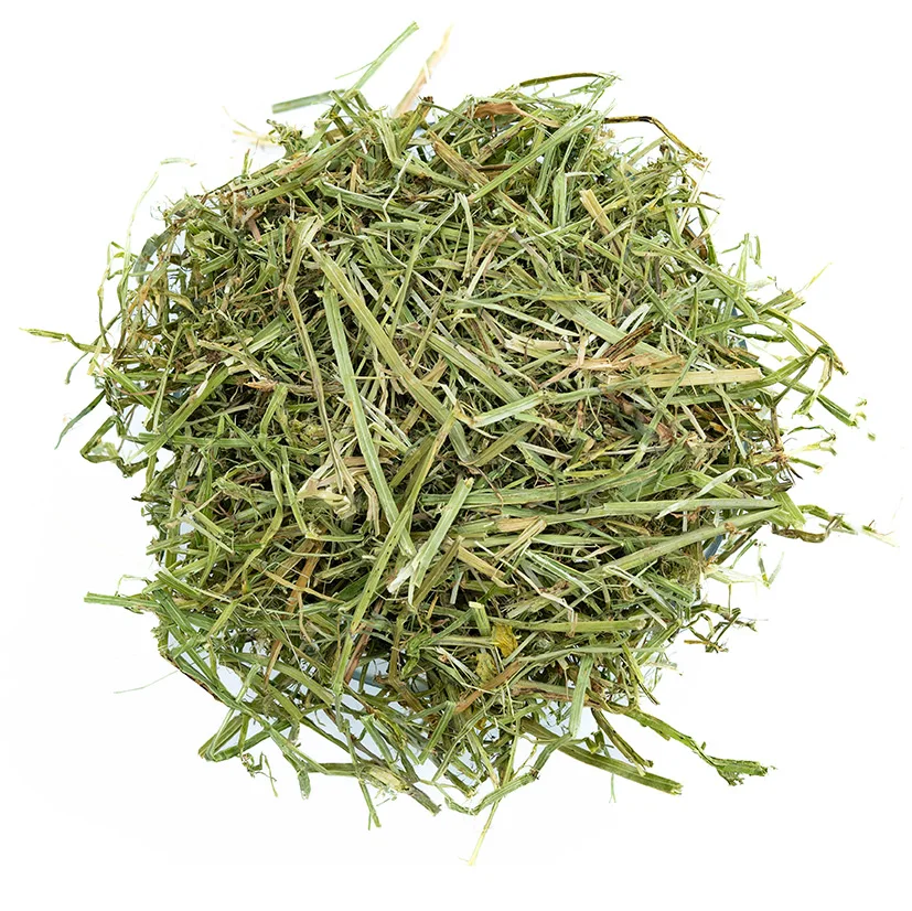 Alfalfa Hay Lucerne Hay Teff Hay Eragrostis For Sale +27739729209 - Buy ...