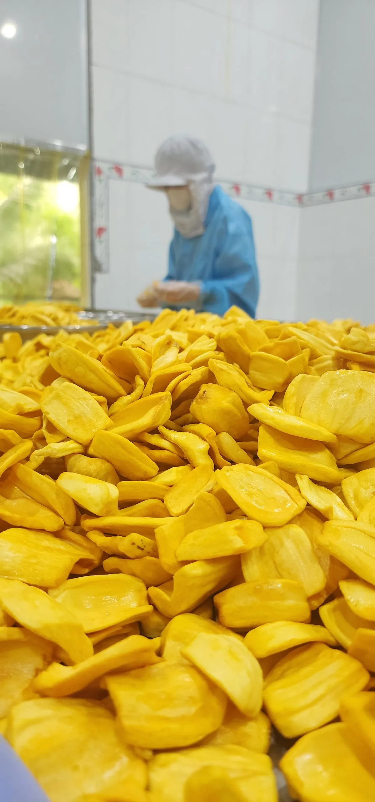100% Pure Natural Dried Jackfruit Slice Professional Agriculture Products At Wholesale Prices ...