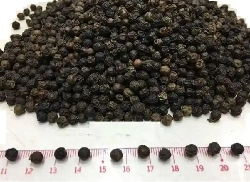 100% Pepper Black Pepper Jumbo/ 5mm/ Machine Cleaned Black Pepper Cheap ...