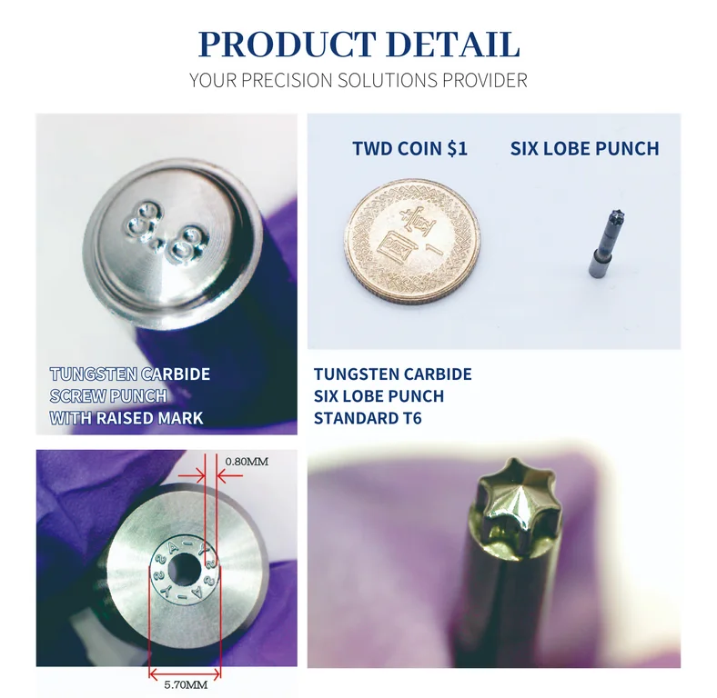 Diverse Shaped Punch from Taiwan CNC Machine with Carbide Material