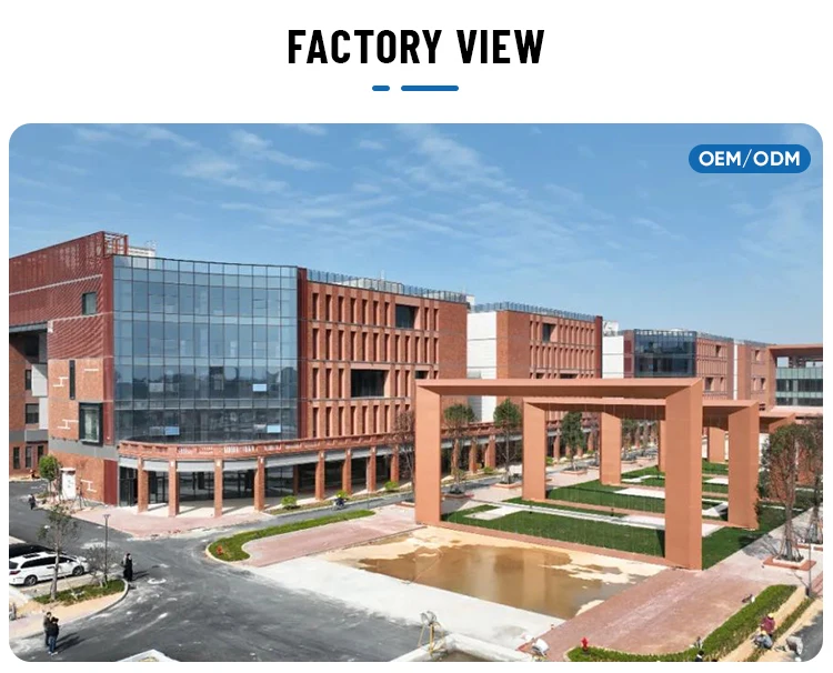 Brain Rot 3D Figures Colorful Cartoon Shoe Charms Clog Bulk Shoe ...