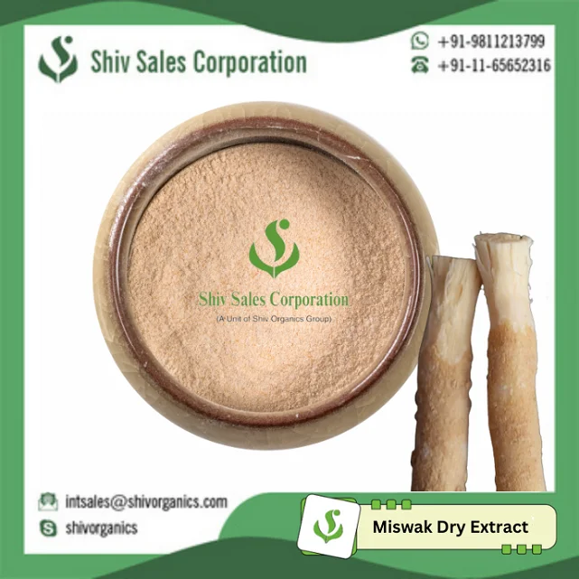 Hot Selling Dry Extract Miswak Powder by Bulk Supplier Selling ...