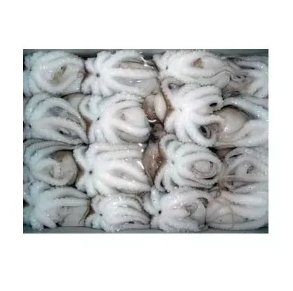 Cheap Frozen Baby Octopus/big Size Octopus With Competitive Price ...