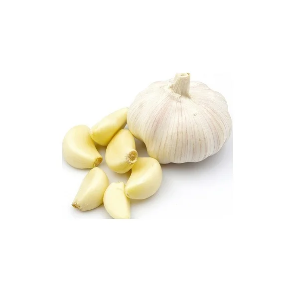 Fresh White Garlic From Super Garlic Factory/ Garlic G1 - Buy High ...