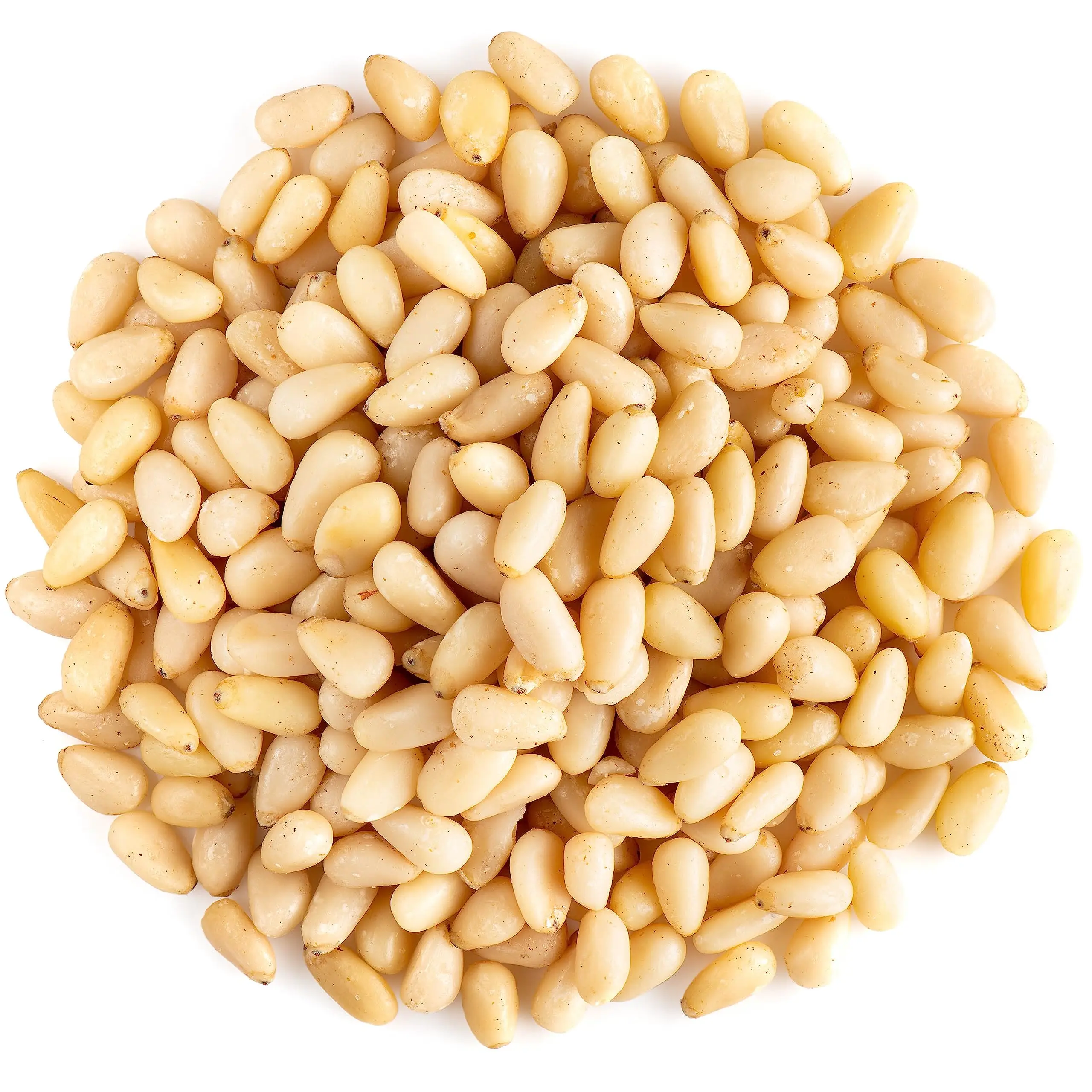 Pakistani Raw 2024 High Quality Best Price Pine Nuts Premium Quality ...