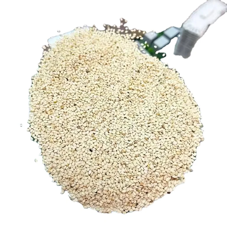 Premium Quality Natural Pure SUDAN White Sesame Seeds for Food & Feed ...