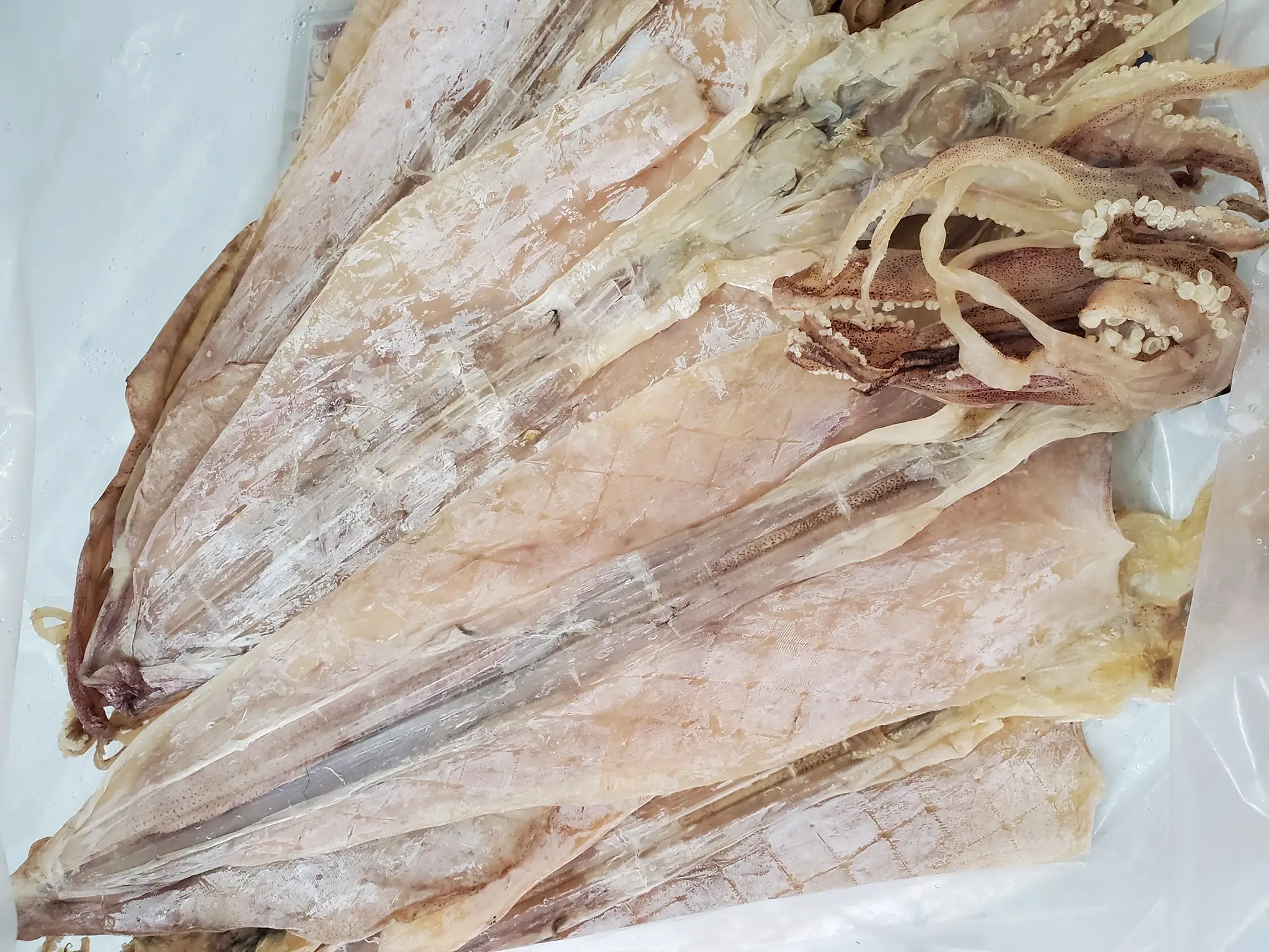 The Taste of Vietnam's Primitive Dried Squid Is Akin to That of Dried ...