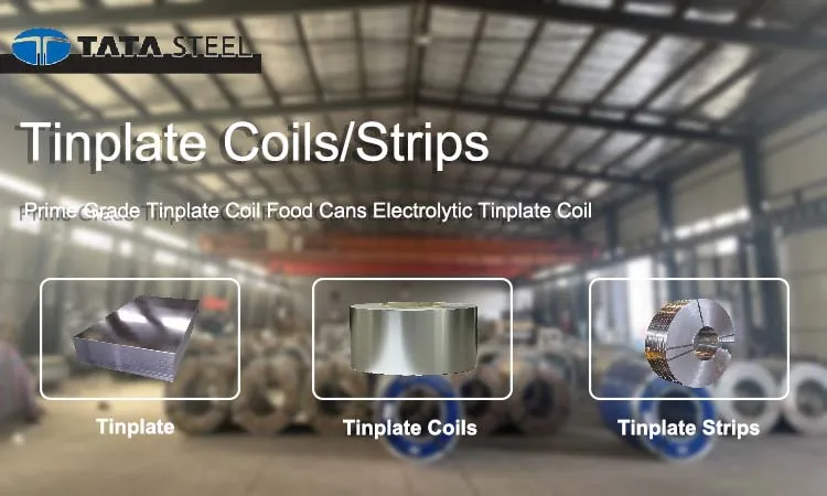 Food Packaging T3 Spte Chromium Coated Steel Electrolytic Tinplate Tin ...