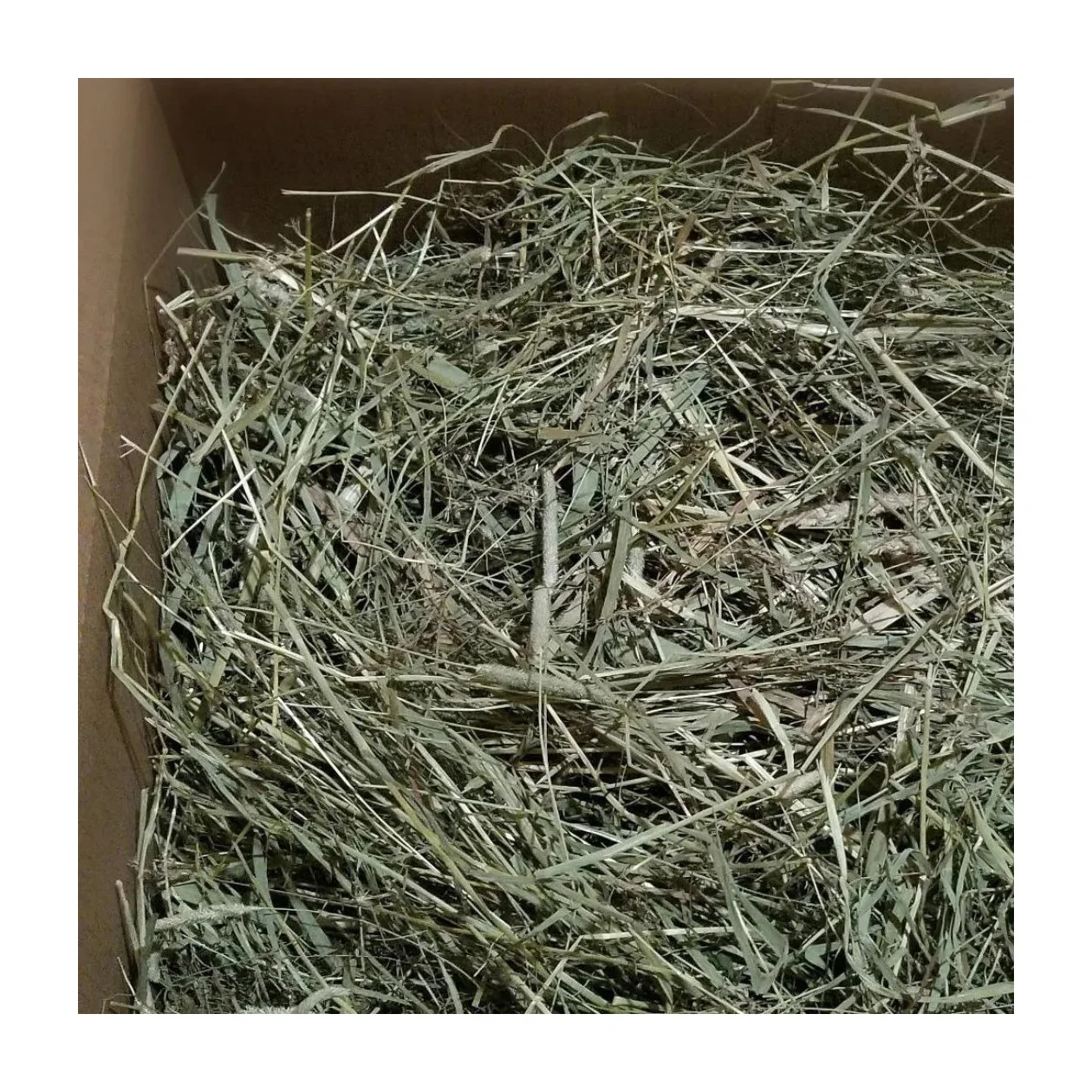 Cheap Top Quality Timothy Hay For Animal Feeding Stuff Timothy Hay ...