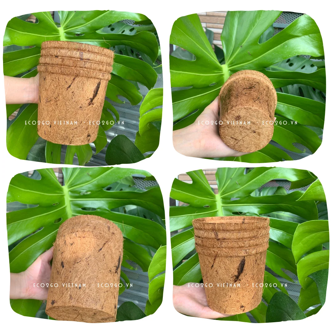 Eco2go Vietnam Biodegradable Coconut Fiber Pot Designed Coco Coir Plant ...