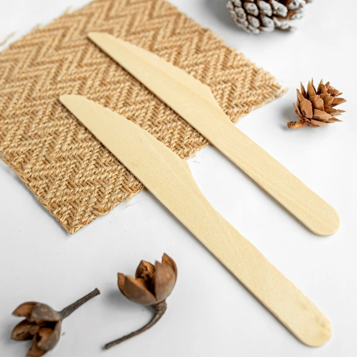 Biodegradable Disposable Wooden Cutlery With Cheap Price For Party ...