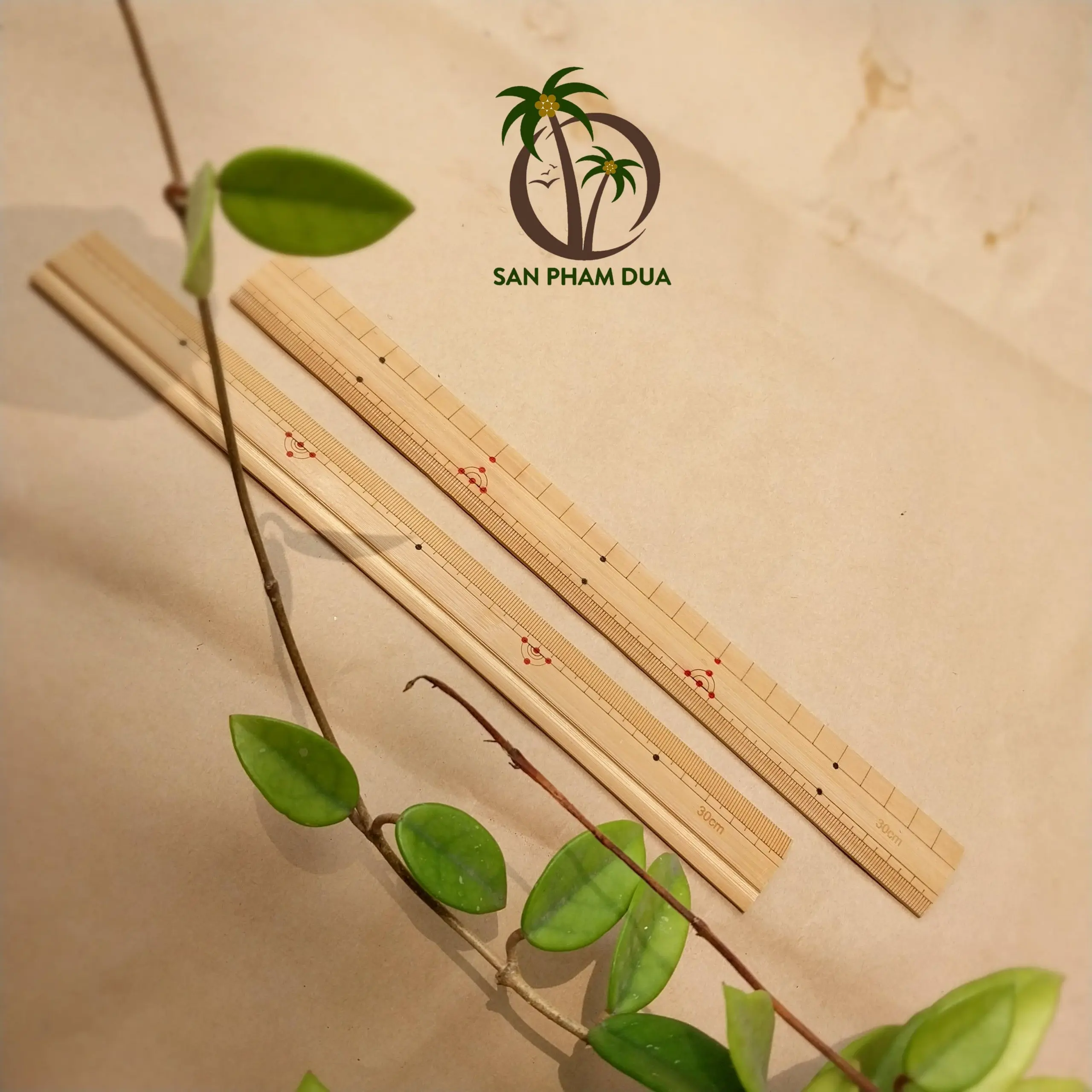 COCO-ECO BRAND BAMBOO RULER AT THE BEST WHOLESALE PRICE FROM VIETNAM ...