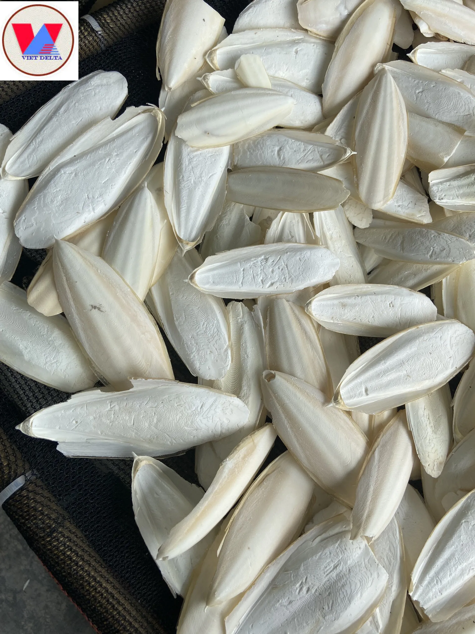 High Calcium Bird Munchies Cuttlefish Bone - Cuttle Bone - Squid Bone ...