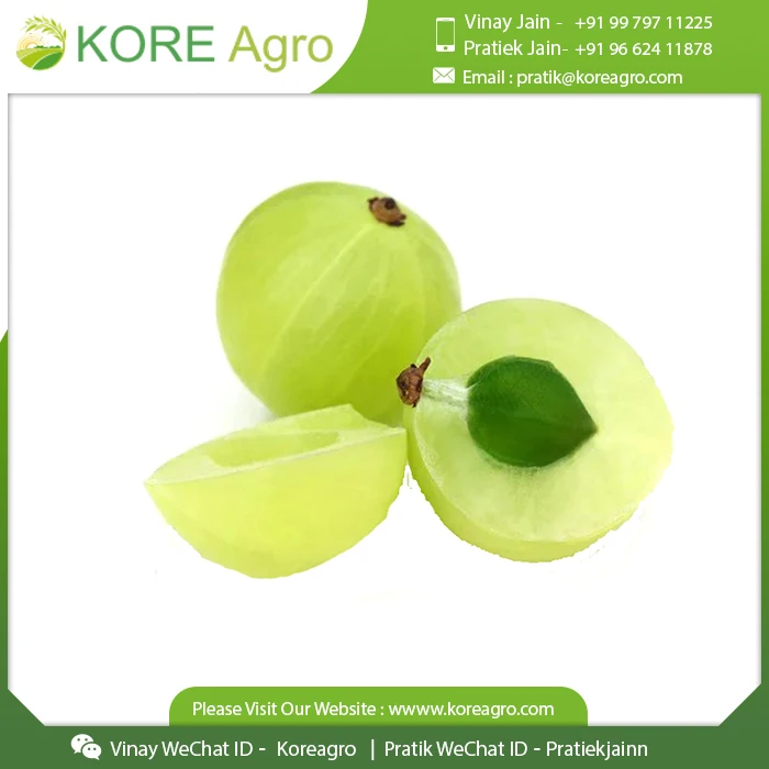 100% Organic Whole Amla Indian Gooseberry - Wholesale Price