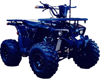 124cc Atv,124cc Quad Bike,124cc Neoplus Atv Black Color With Remote ...