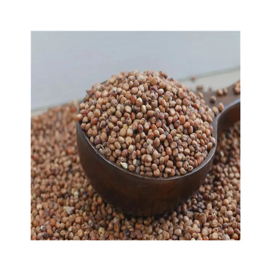 White Sorghum White Milo Sorghum Grains Sorghum Price Per Ton - Buy ...