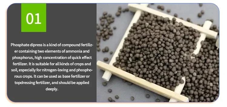 Organic Fertilizer Difference Between DAP and NPK Fertilizer
