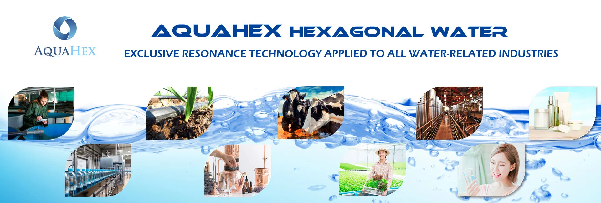 Taiwan Made Stainless Steel Hexagonal Water Equipment For Ras ...