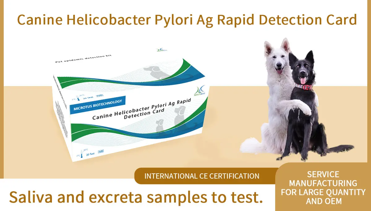 Cat Dog Pet Disease Detection Test Kit - Veterinary Canine