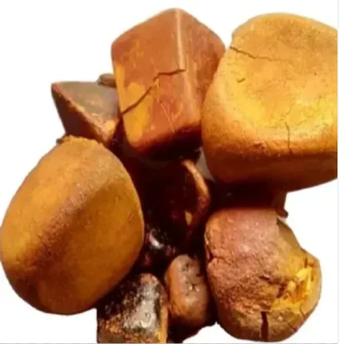 Ox/cow Bladder Gallstones 100% Whole Stones Available Buy Cow Gall ...
