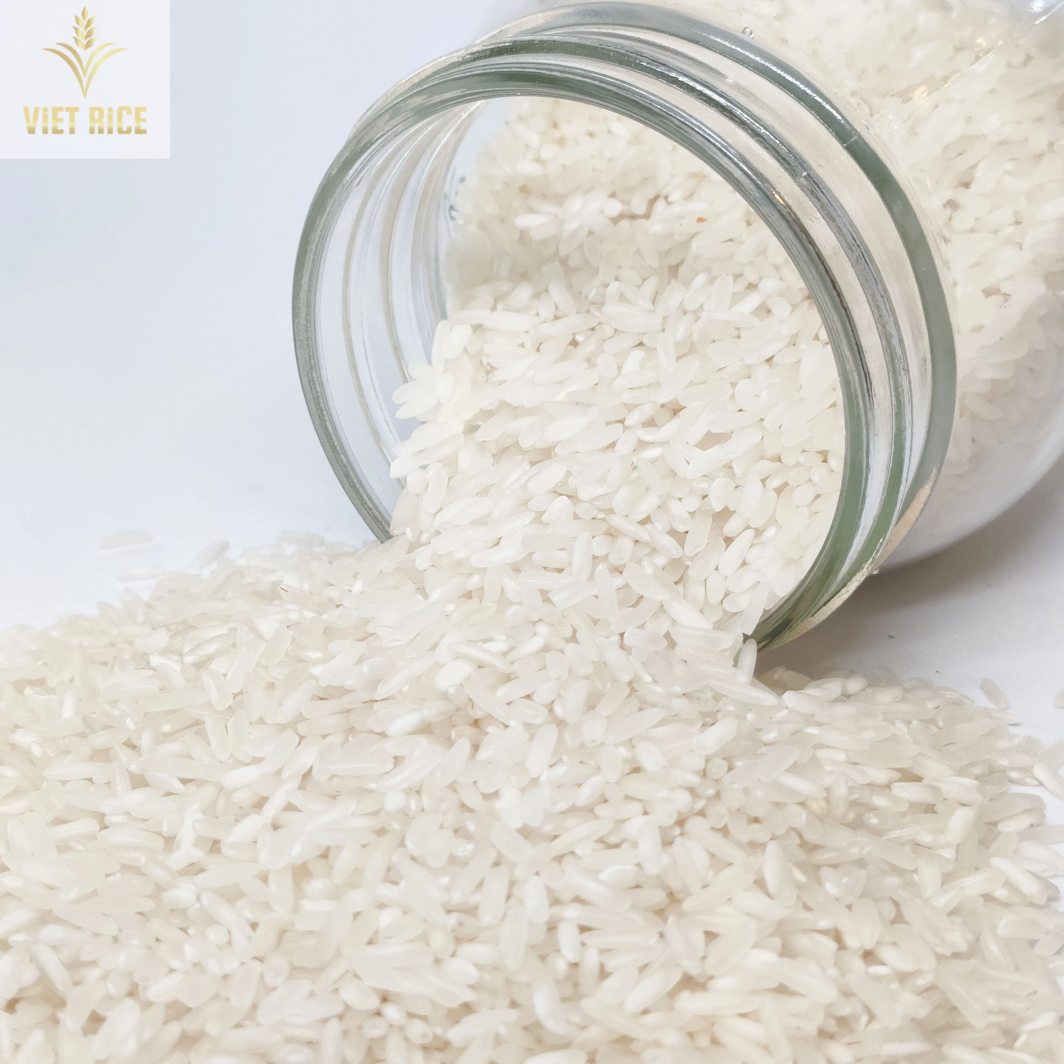 504 Long Grain White Rice 5% Broken From Vietnam Factory For Export ...